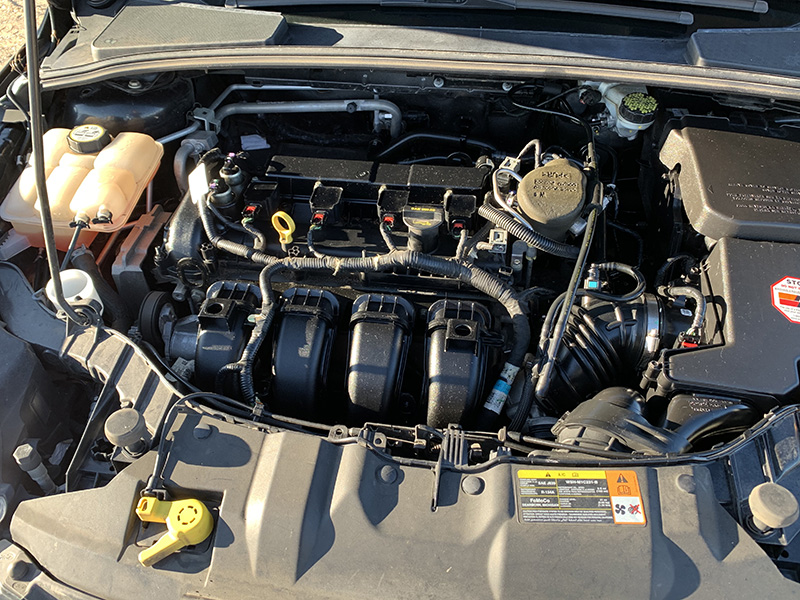 Gearhead Inc • 2013 Ford Focus SE • 1311