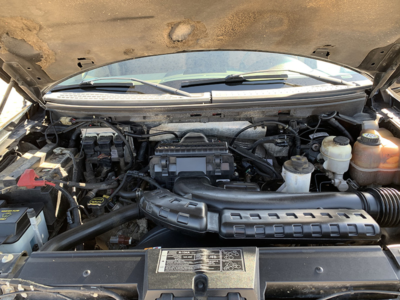 Gearhead Inc • 2008 Ford F-150 King Ranch • 1419